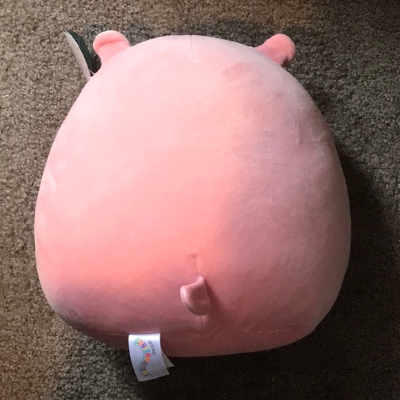 Squishmallows | Toys | Ridelle Hippo Squishmallow | Poshmark